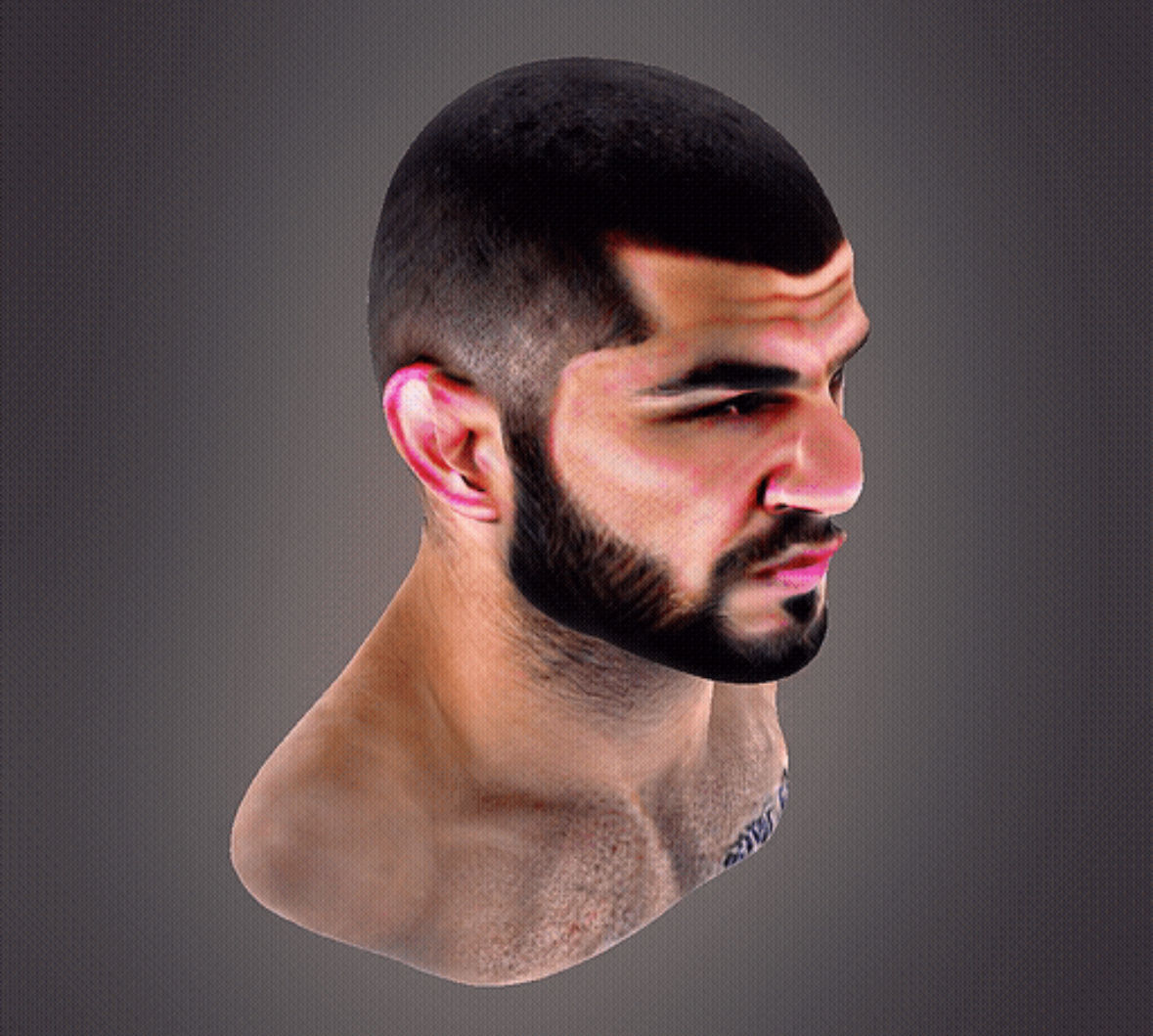 Khabib Ufc Bust 3D model 3D printable | CGTrader