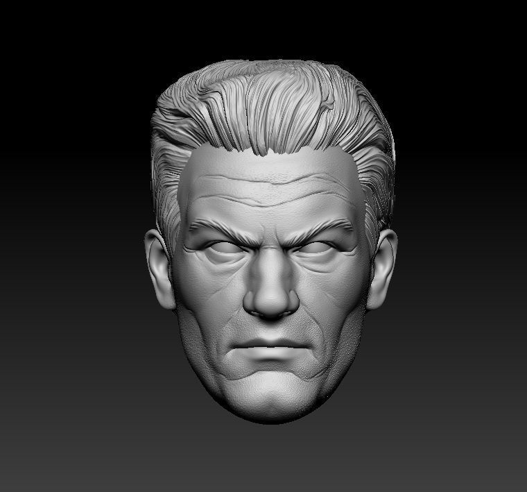 Reed - Headsculpt for Action Figures 3D print model 3D model 3D ...