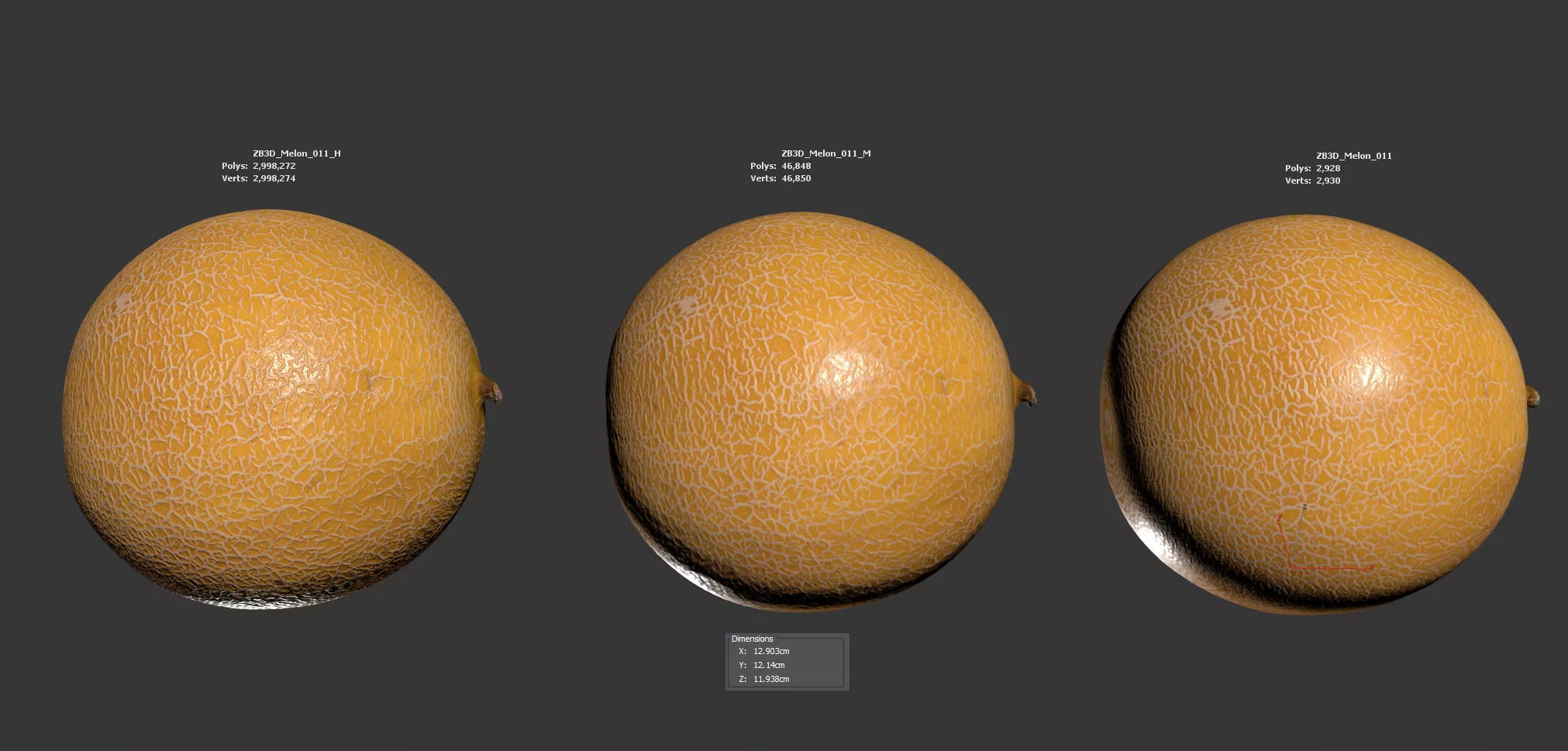 Melon 011 3D model | CGTrader