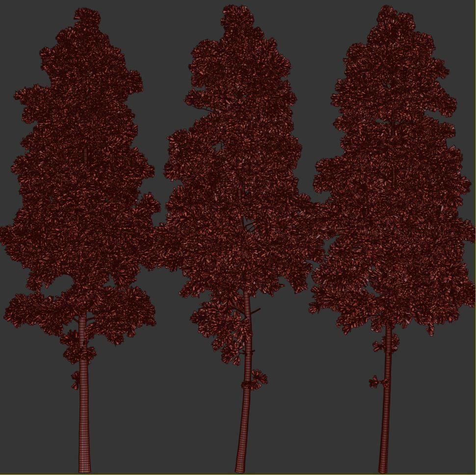 pine tree set 3D model | CGTrader