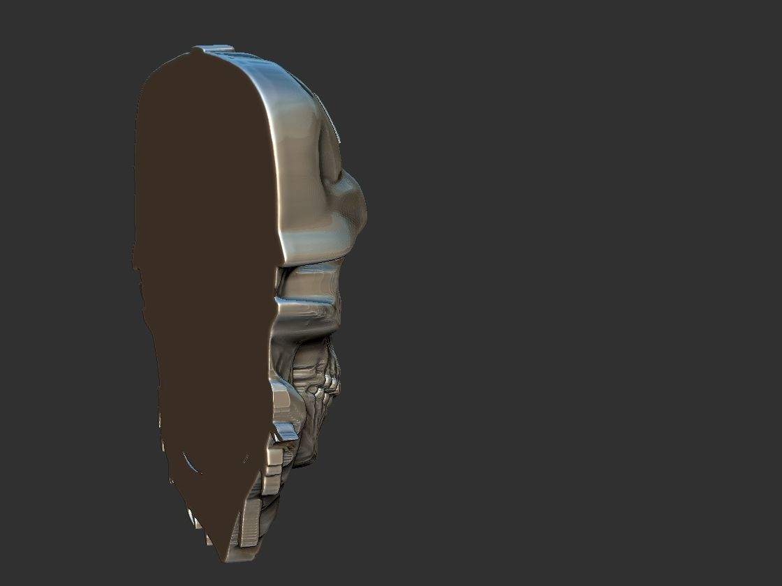 Insanos Caveira - Skull 3D model 3D printable | CGTrader