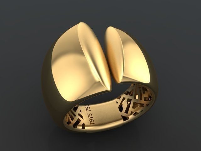 1 plain fusion RING 3D model 3D printable | CGTrader