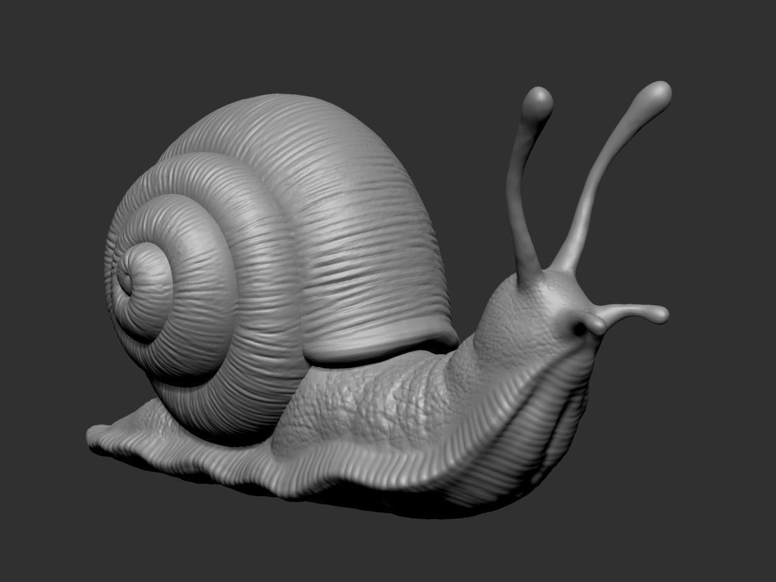 Snail 3D printable model 3D model 3D printable | CGTrader