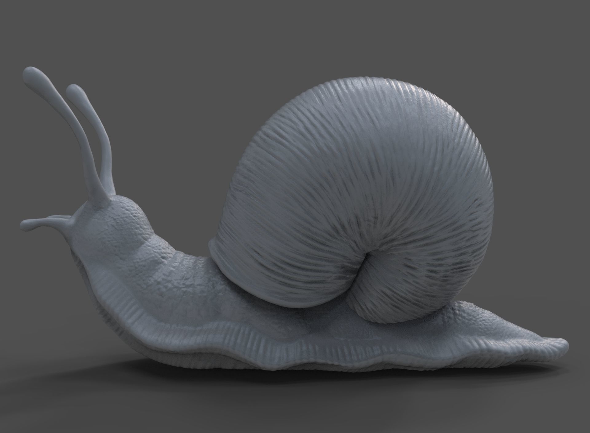 Snail 3D printable model 3D model 3D printable | CGTrader