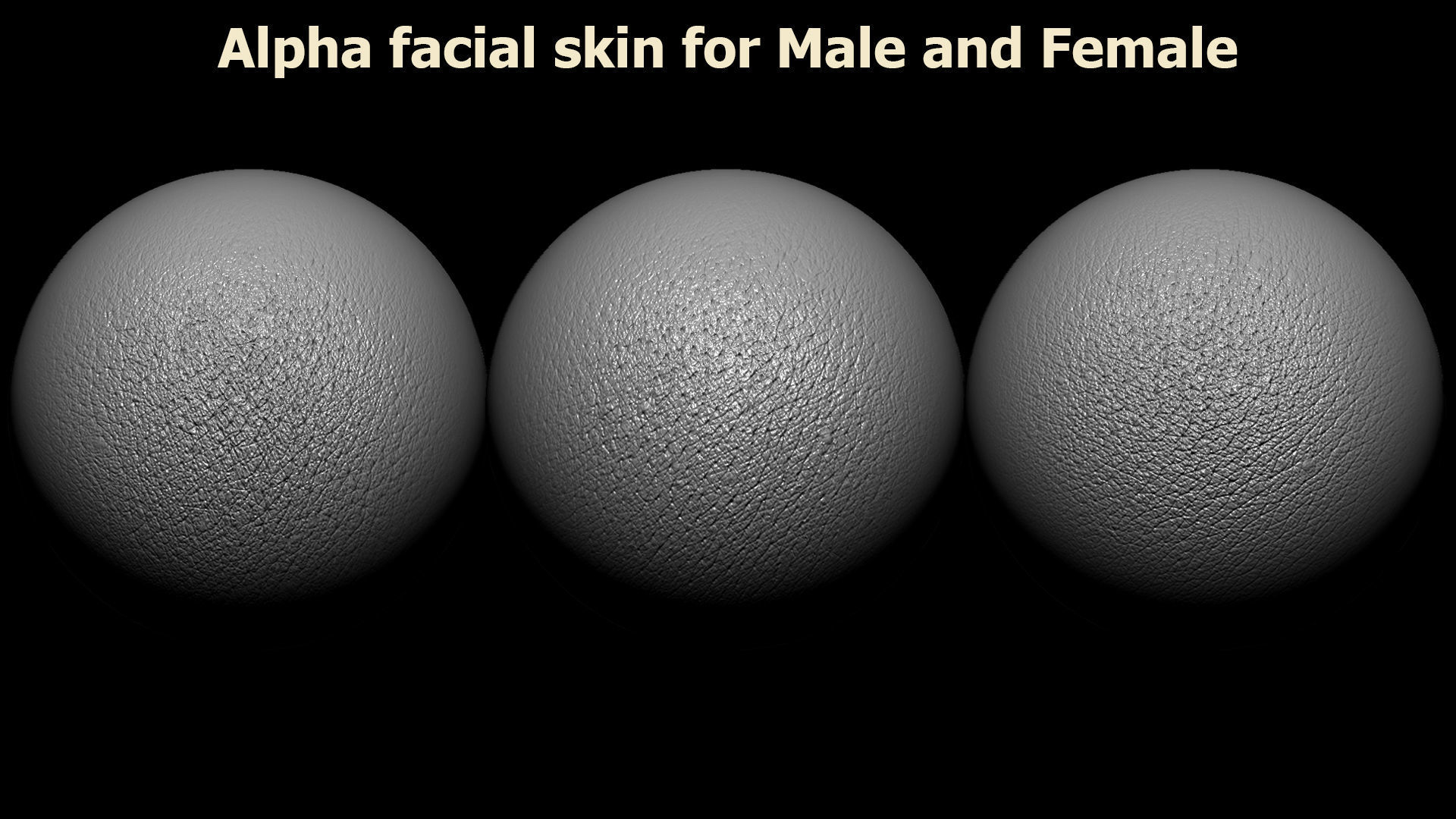 Alpha facial skin for Male and Female 3D model | CGTrader
