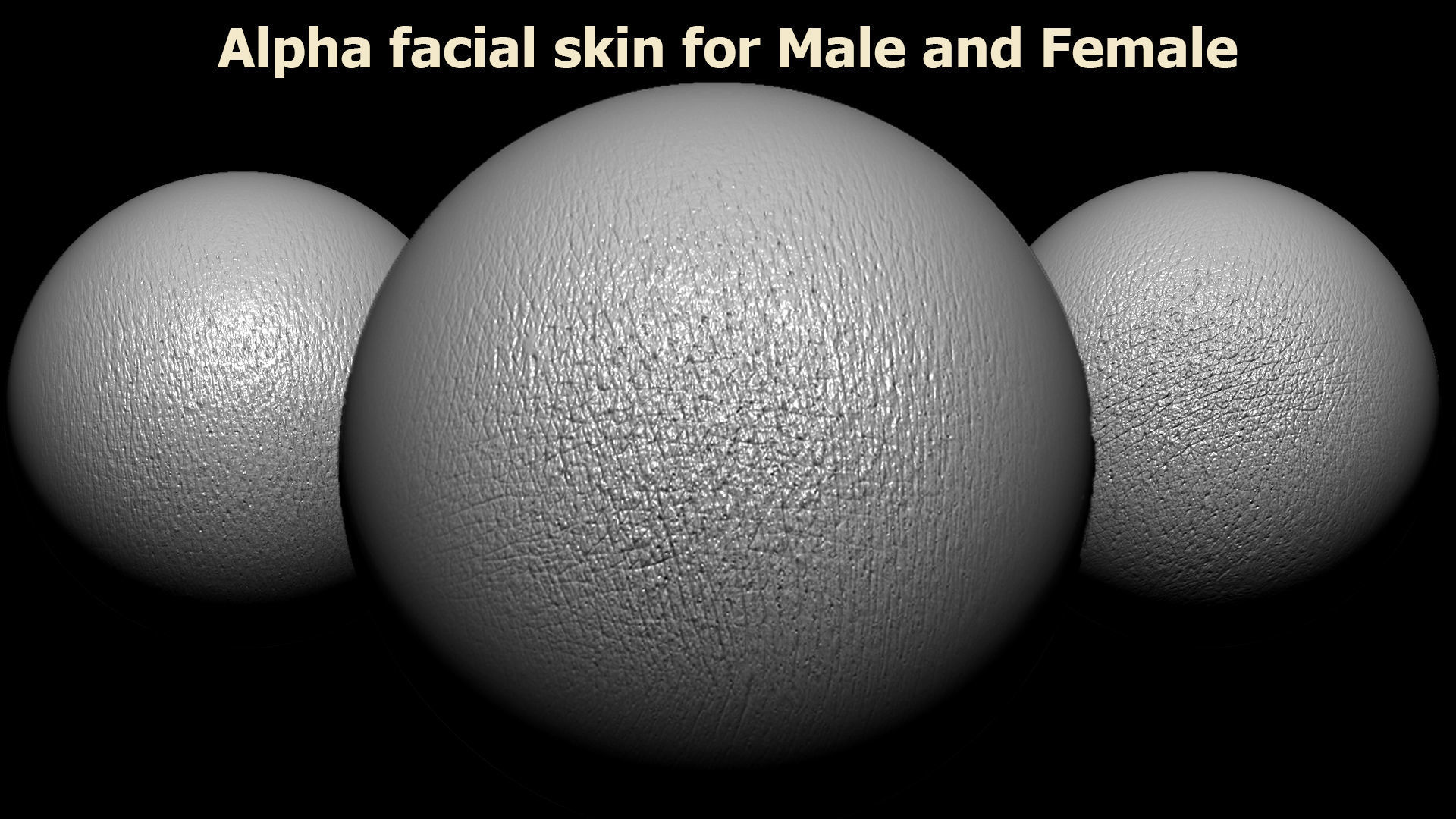 Alpha facial skin for Male and Female 3D model | CGTrader