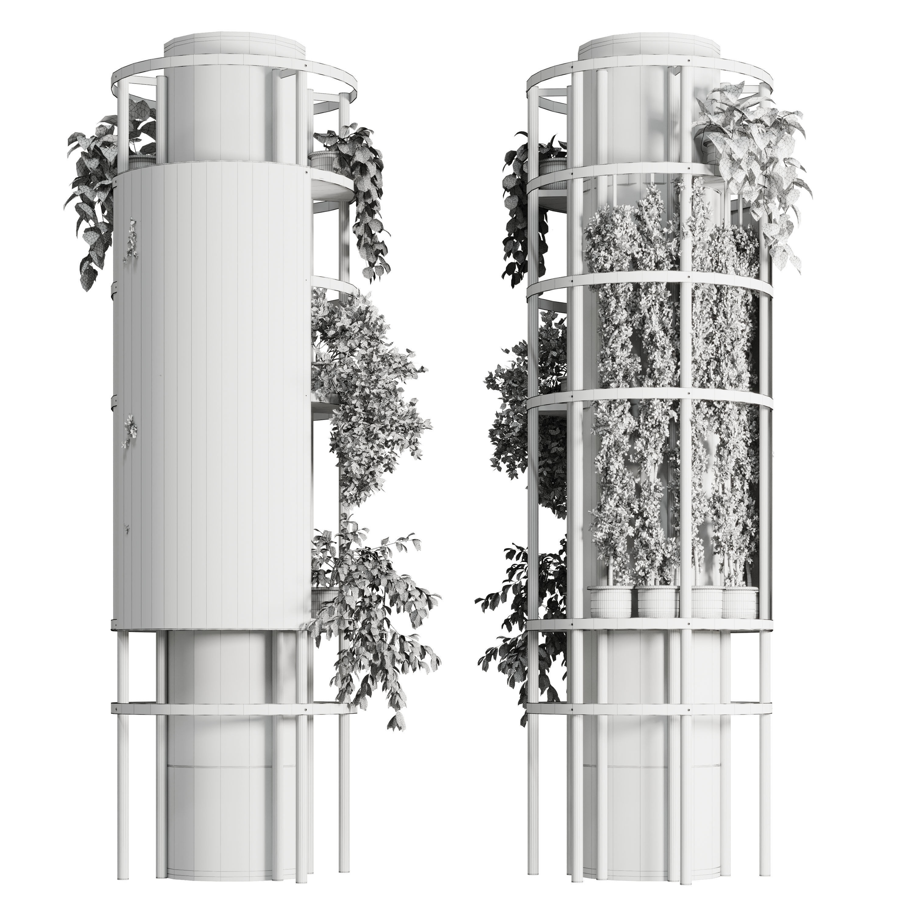 Column plant - pillar plant - column garden ivy 3D model | CGTrader