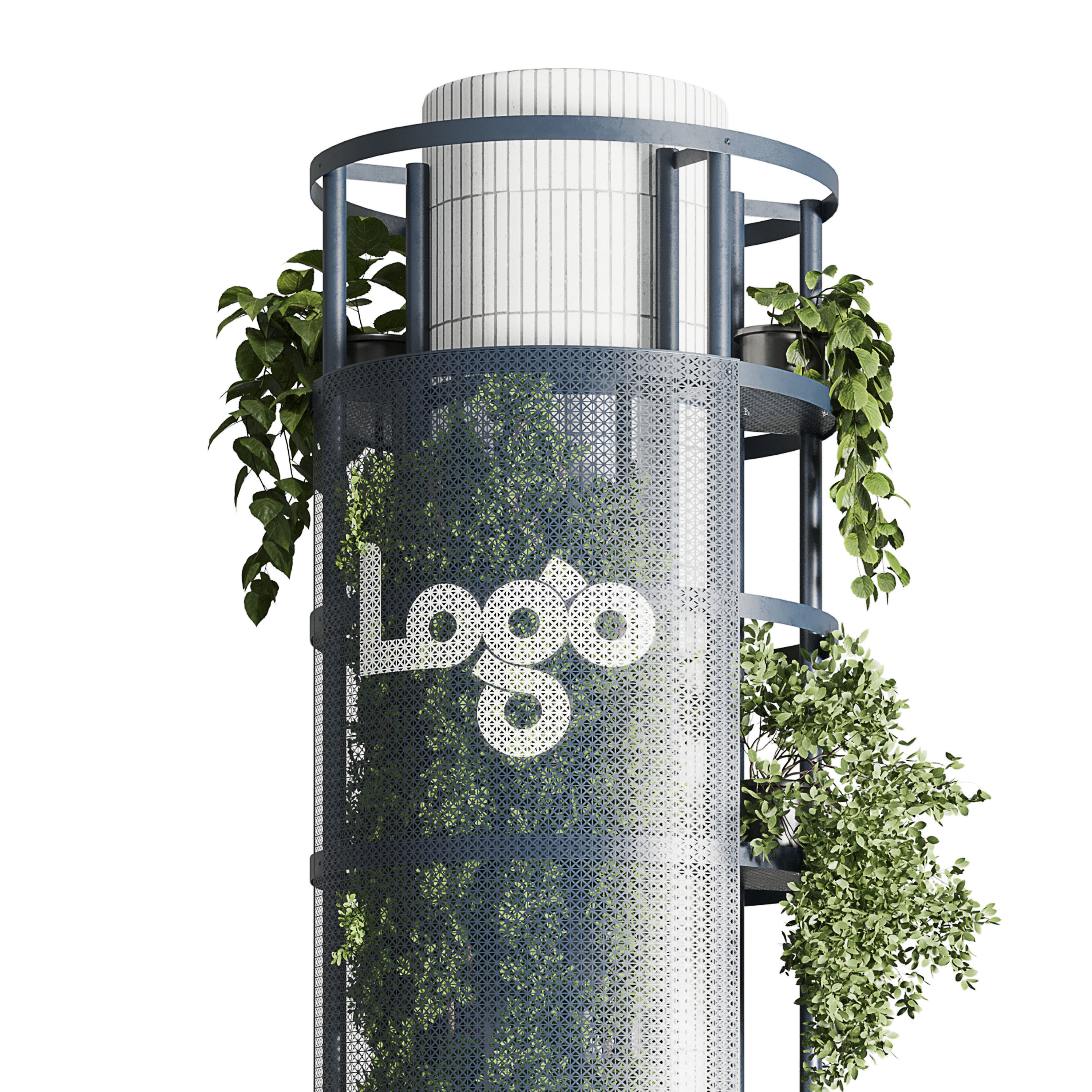 Column plant - pillar plant - column garden ivy 3D model | CGTrader