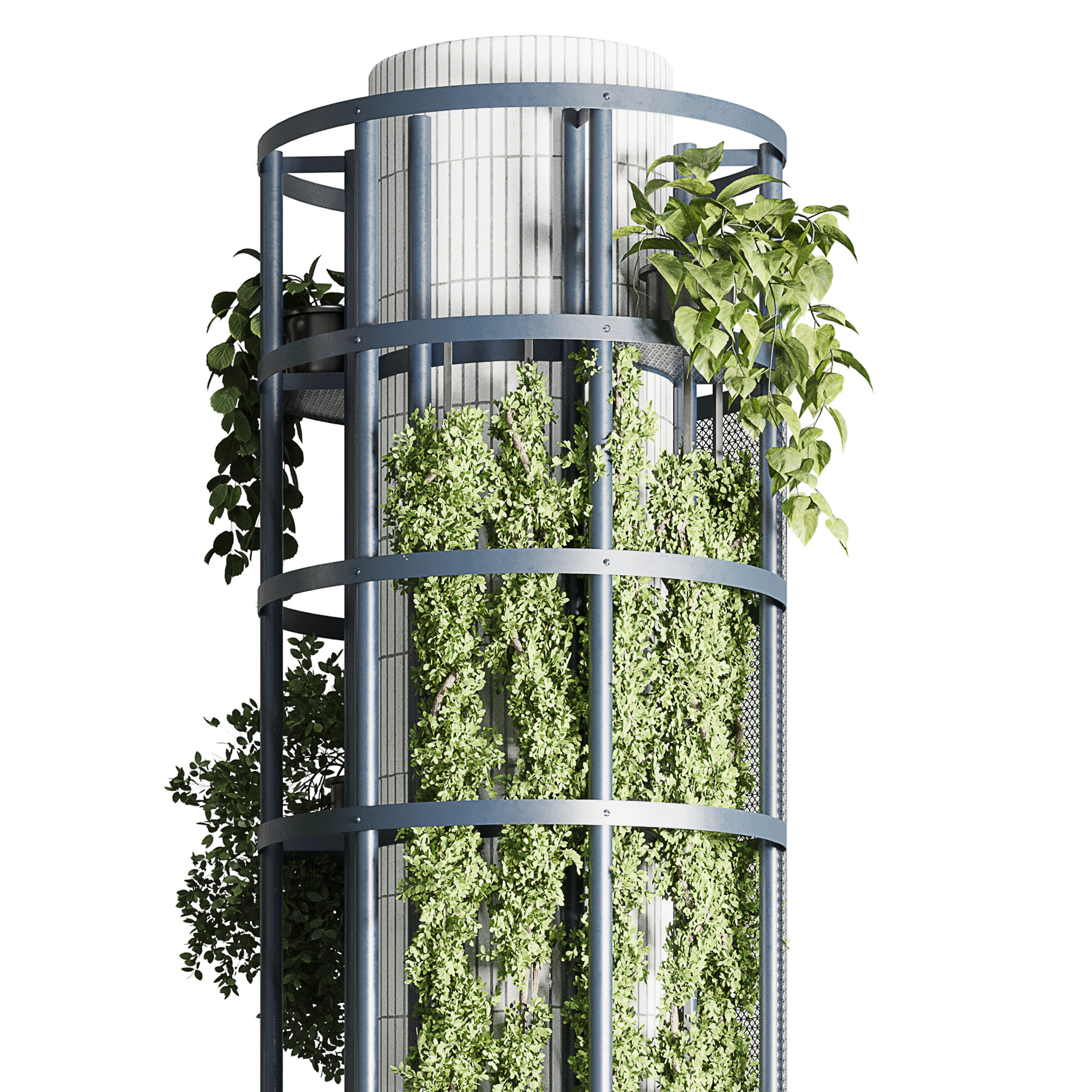 Column plant - pillar plant - column garden ivy 3D model | CGTrader