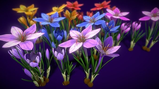 Flowers 3D model | CGTrader