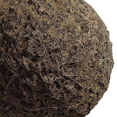 Grass Seamless Texture 2K - EXR 5 - JPG 5 Texture Texture | CGTrader