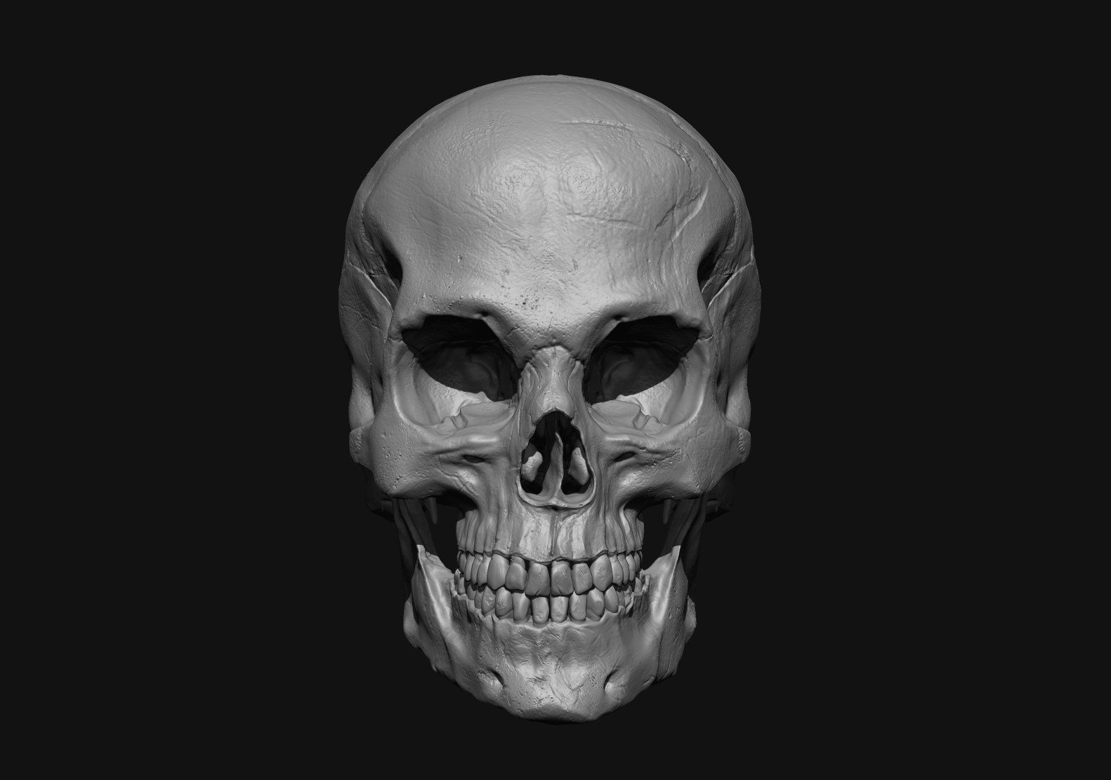 3D Human Anatomy Skull 3D model | CGTrader