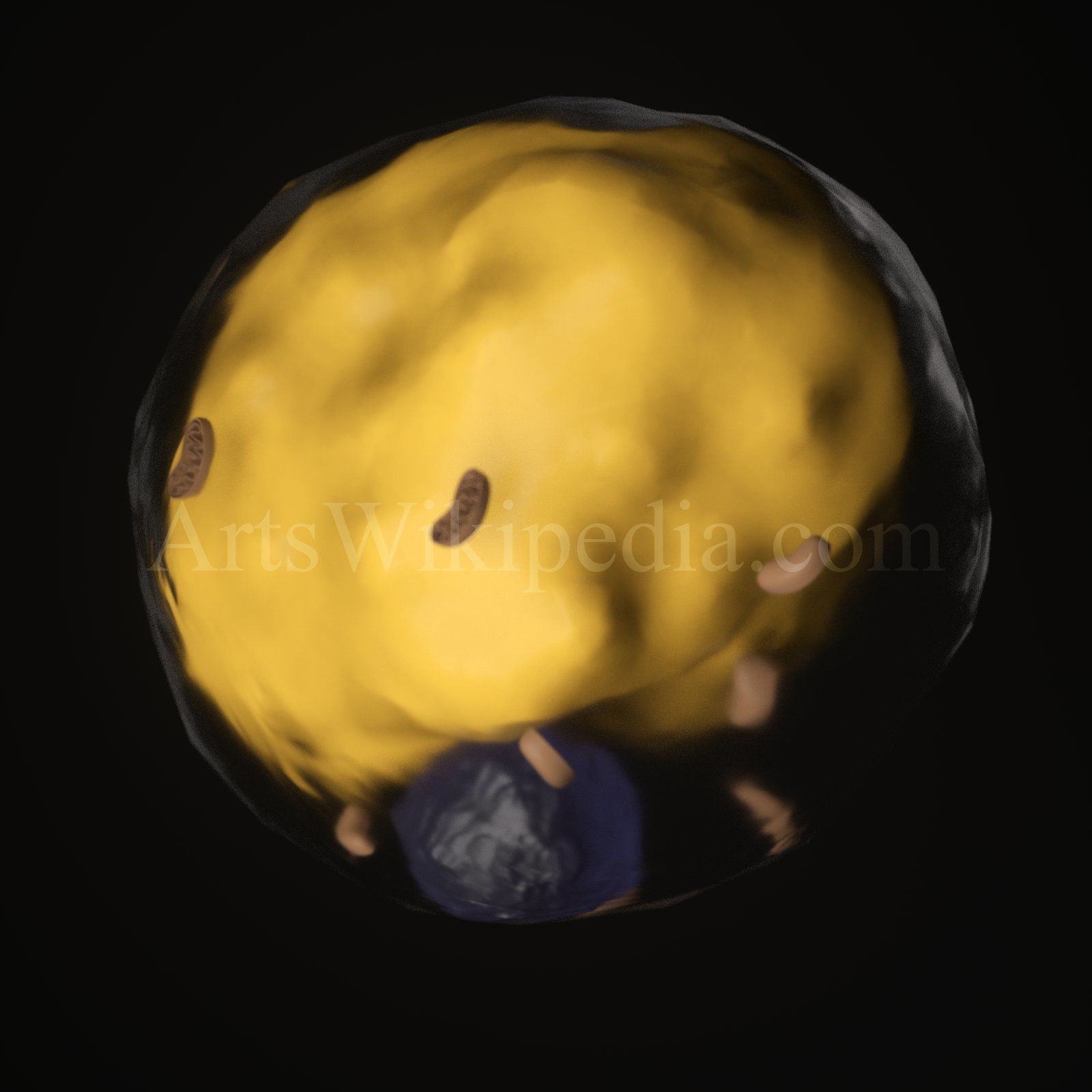 3D White adipocyte Fat cell 3D model | CGTrader
