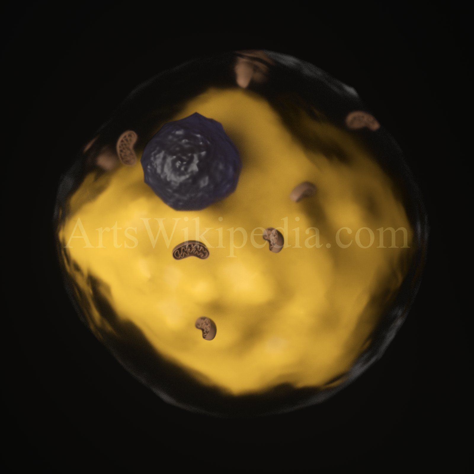 3D White adipocyte Fat cell 3D model | CGTrader