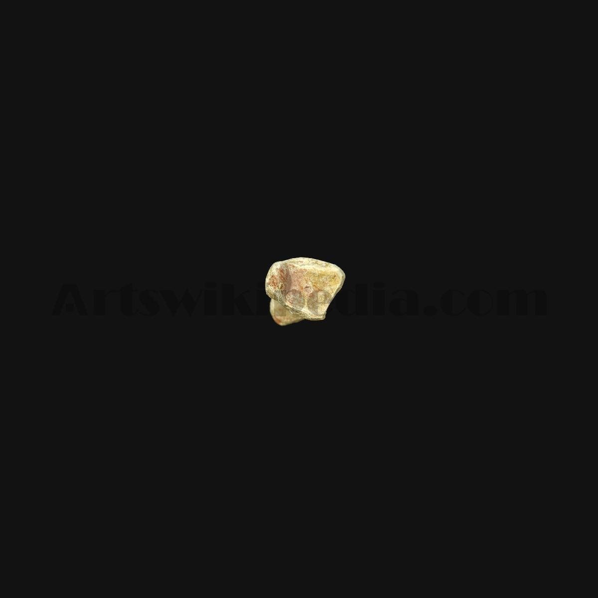 3D Tibia Anatomy 3D model | CGTrader