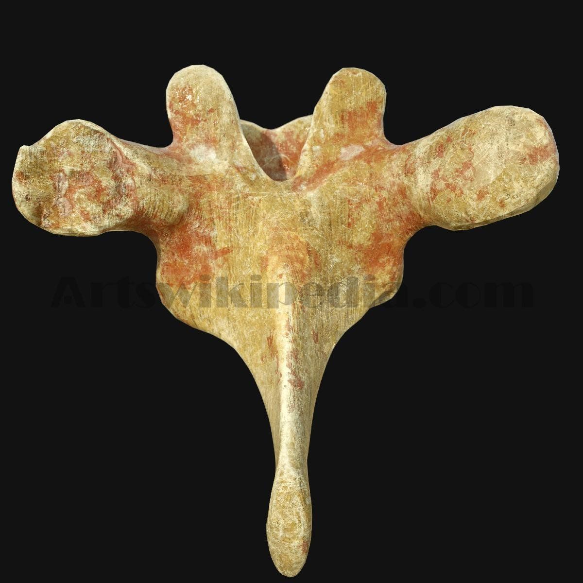 3d Thoracic Vertebra 3d Model Cgtrader