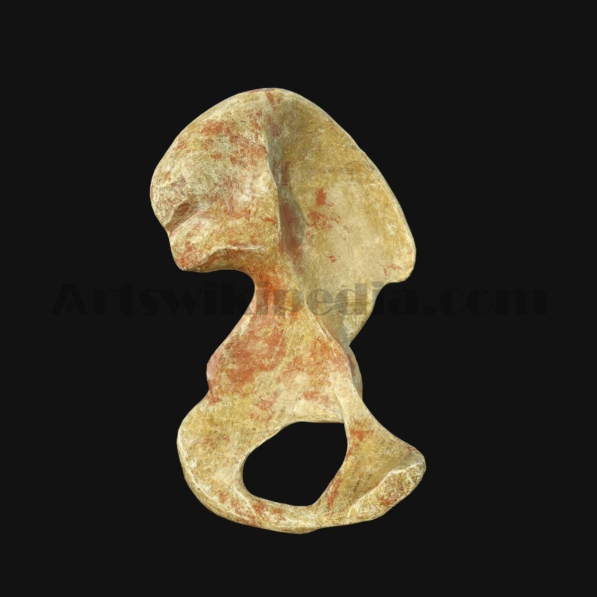 3d Pelvic Anatomy 3d Model Cgtrader