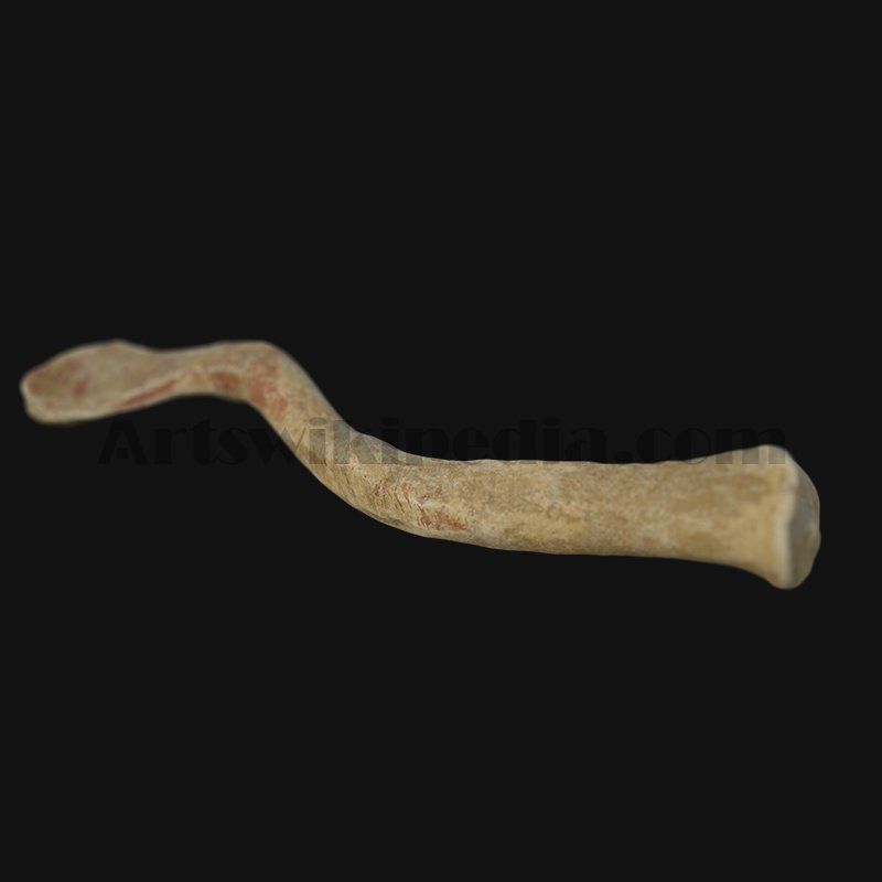 3d Clavicle Anatomy 3D model | CGTrader