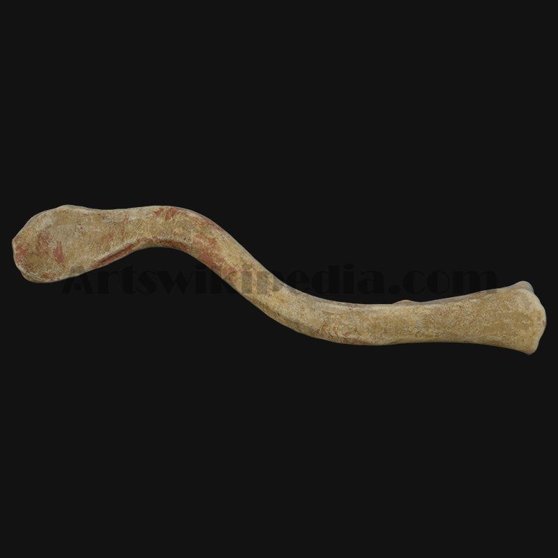 3d Clavicle Anatomy 3D model | CGTrader