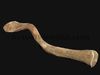 3d Clavicle Anatomy 3D model | CGTrader