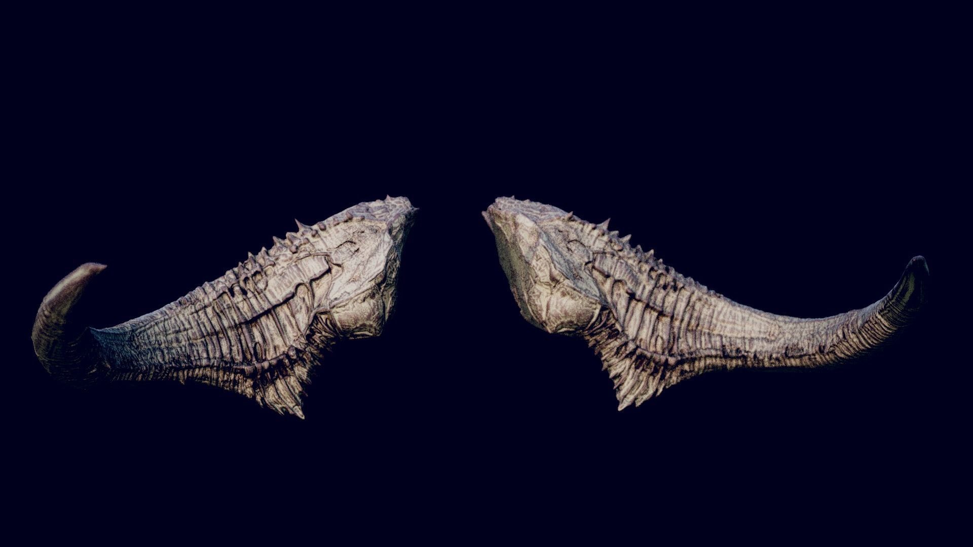 Horns Volume 2 x65 Horns for Quick Kitbash etc 3D model | CGTrader