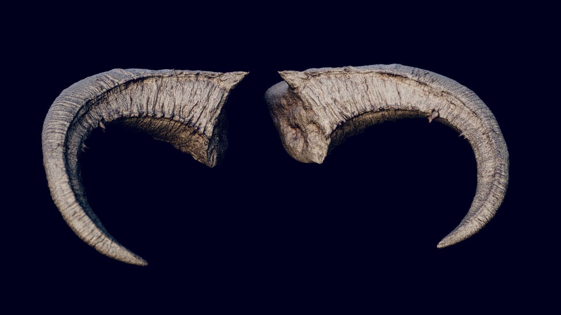 Horns Volume 2 x65 Horns for Quick Kitbash etc 3D model | CGTrader