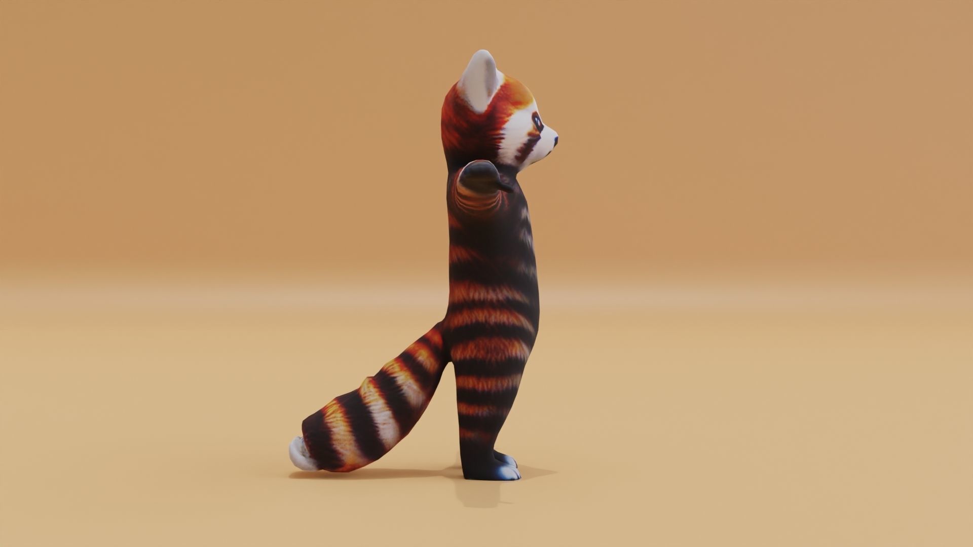 Red Panda Character T-Pose free VR / AR / low-poly 3D model | CGTrader