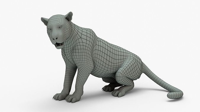3D model Leopard Rigged Basemesh VR / AR / low-poly | CGTrader