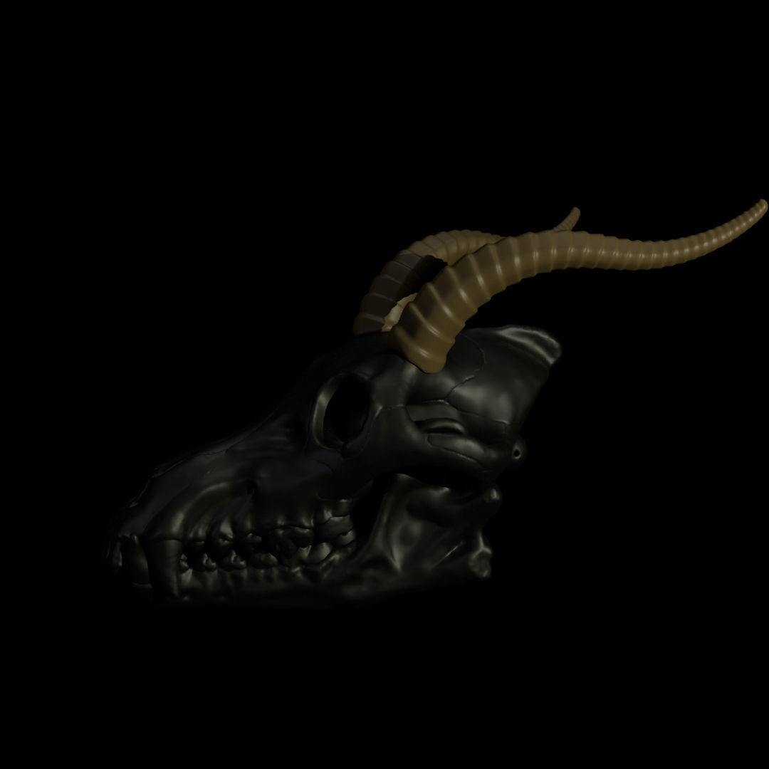 Dragon Horns For Skull Pet Puppet 3D Print 3D model 3D printable | CGTrader