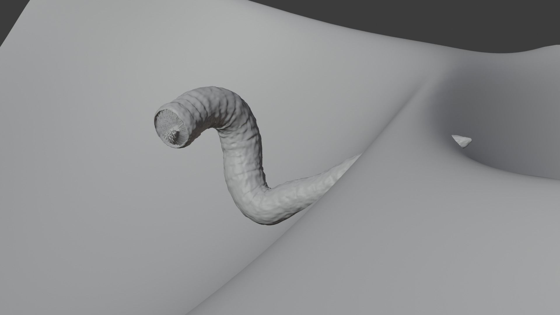 Free 3D Sand Worm plus Rig Dune free 3D model | CGTrader