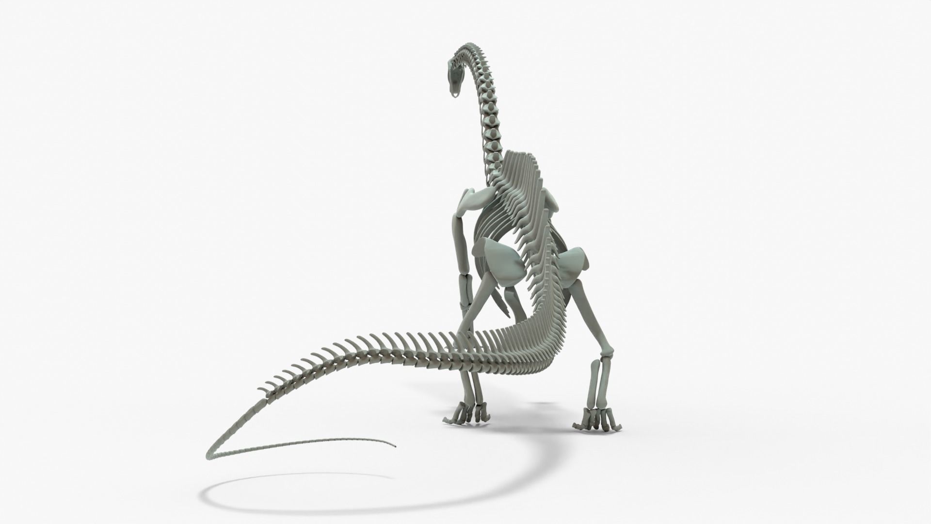 3D Model Collection Brontosaurus Rigged Basemesh With Skeleton VR / AR ...