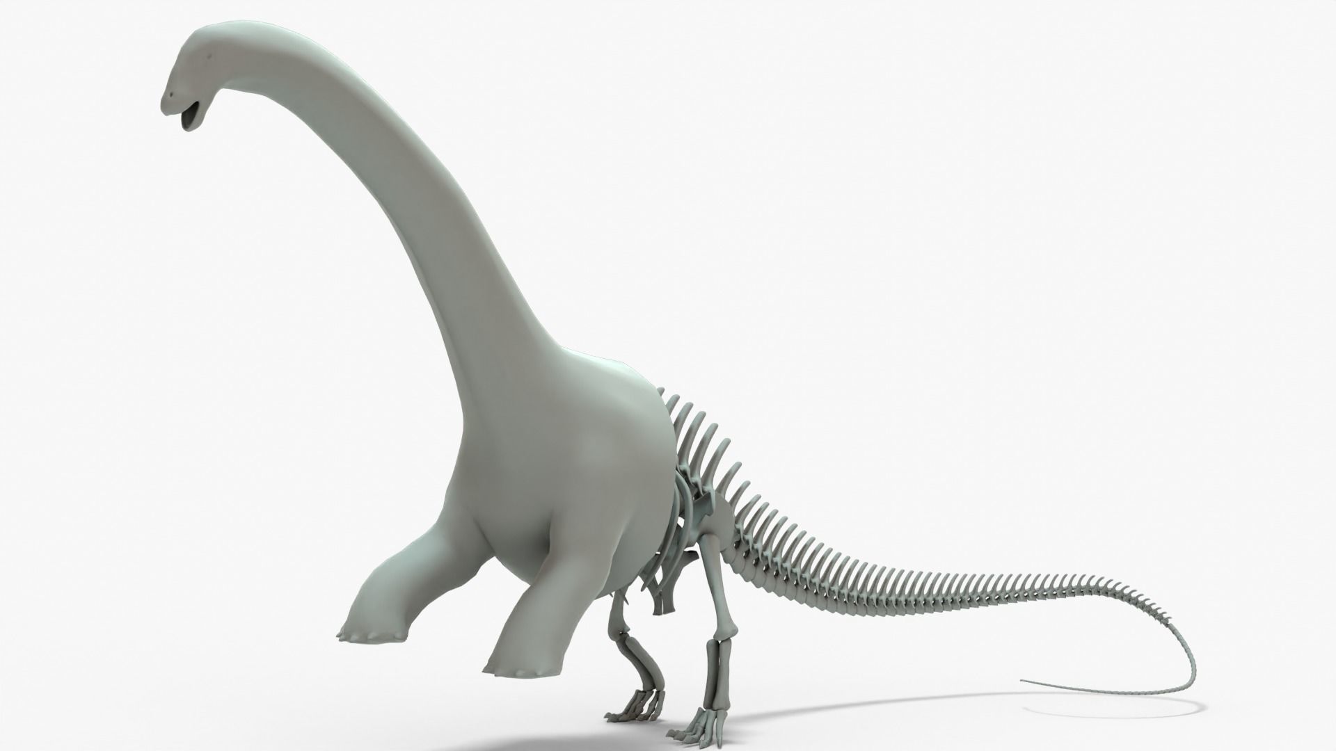 3D Model Collection Brontosaurus Rigged Basemesh With Skeleton VR / AR ...