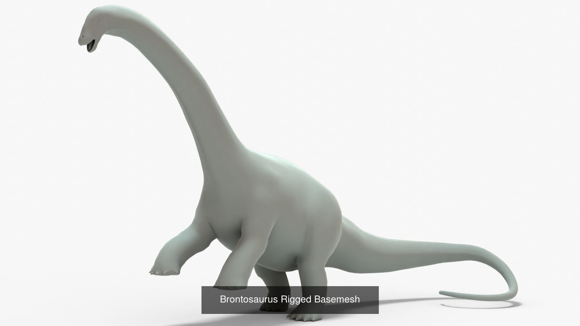 3D Model Collection Brontosaurus Rigged Basemesh With Skeleton VR / AR ...