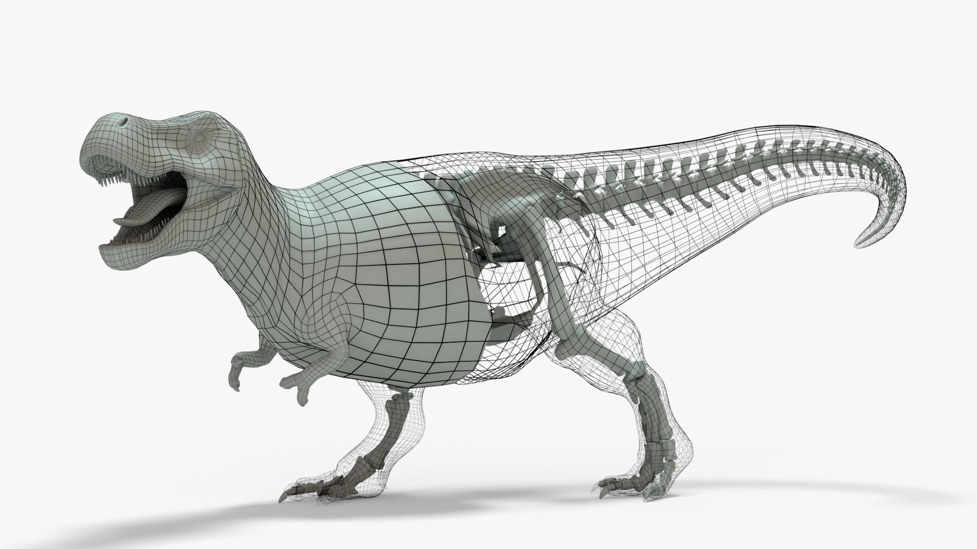 3D Model Collection Tyrannosaurus Rex Rigged Basemesh With Skeleton VR ...