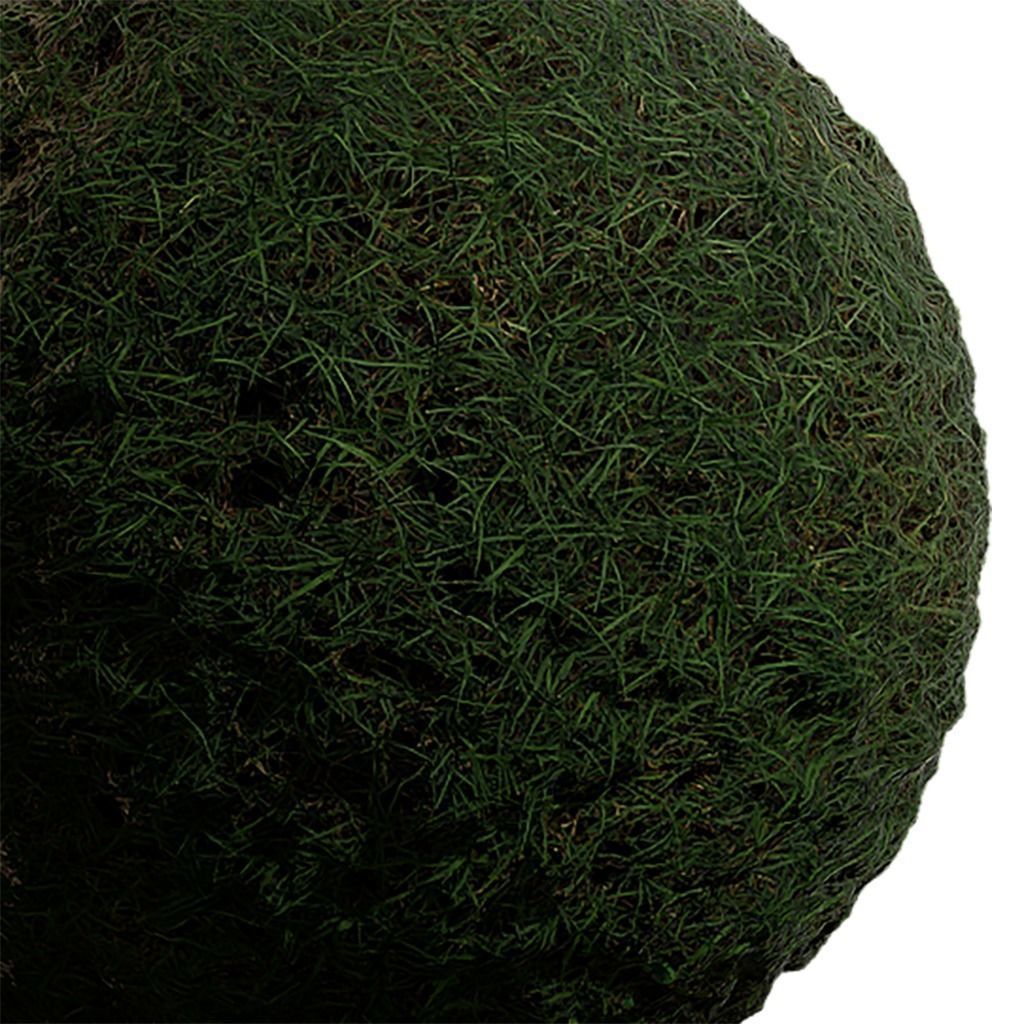 Grass Seamless Texture 2K - EXR 5 - JPG 5 Texture Texture | CGTrader