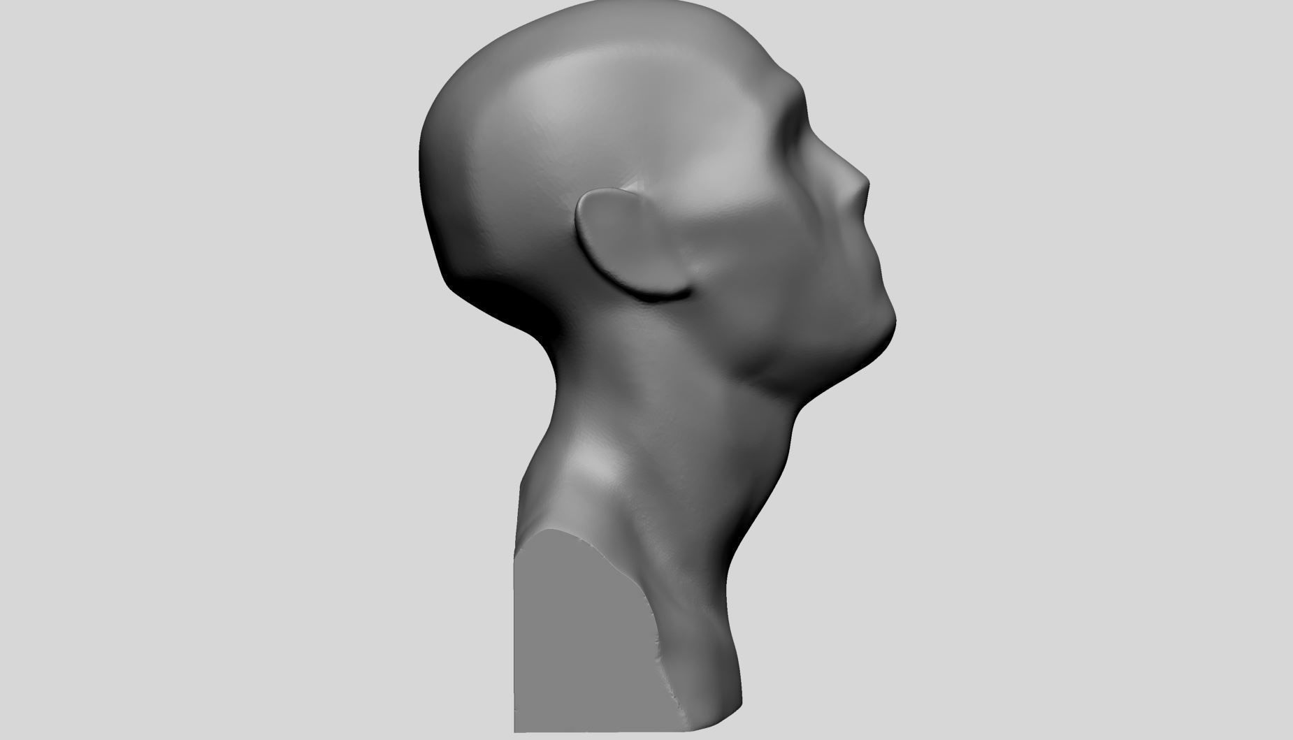 Free Base Male Head free 3D model | CGTrader