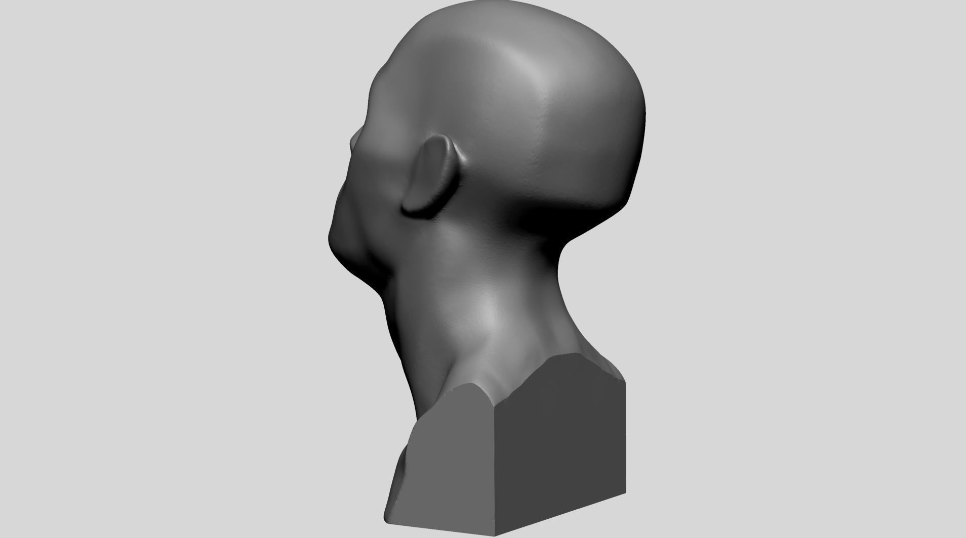 Free Base Male Head free 3D model | CGTrader