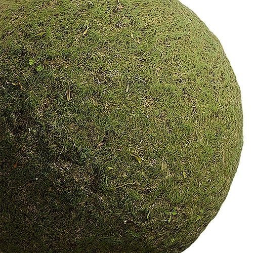 Grass Seamless Texture 2K - EXR 5 - JPG 5 Texture Texture | CGTrader