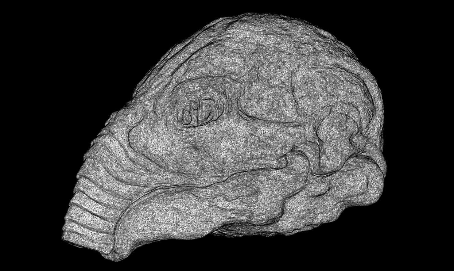 3D PRINTABLE PROMETHEUS ANCIENT ENGINEER HELMET NOT OPENABLE 3D model ...