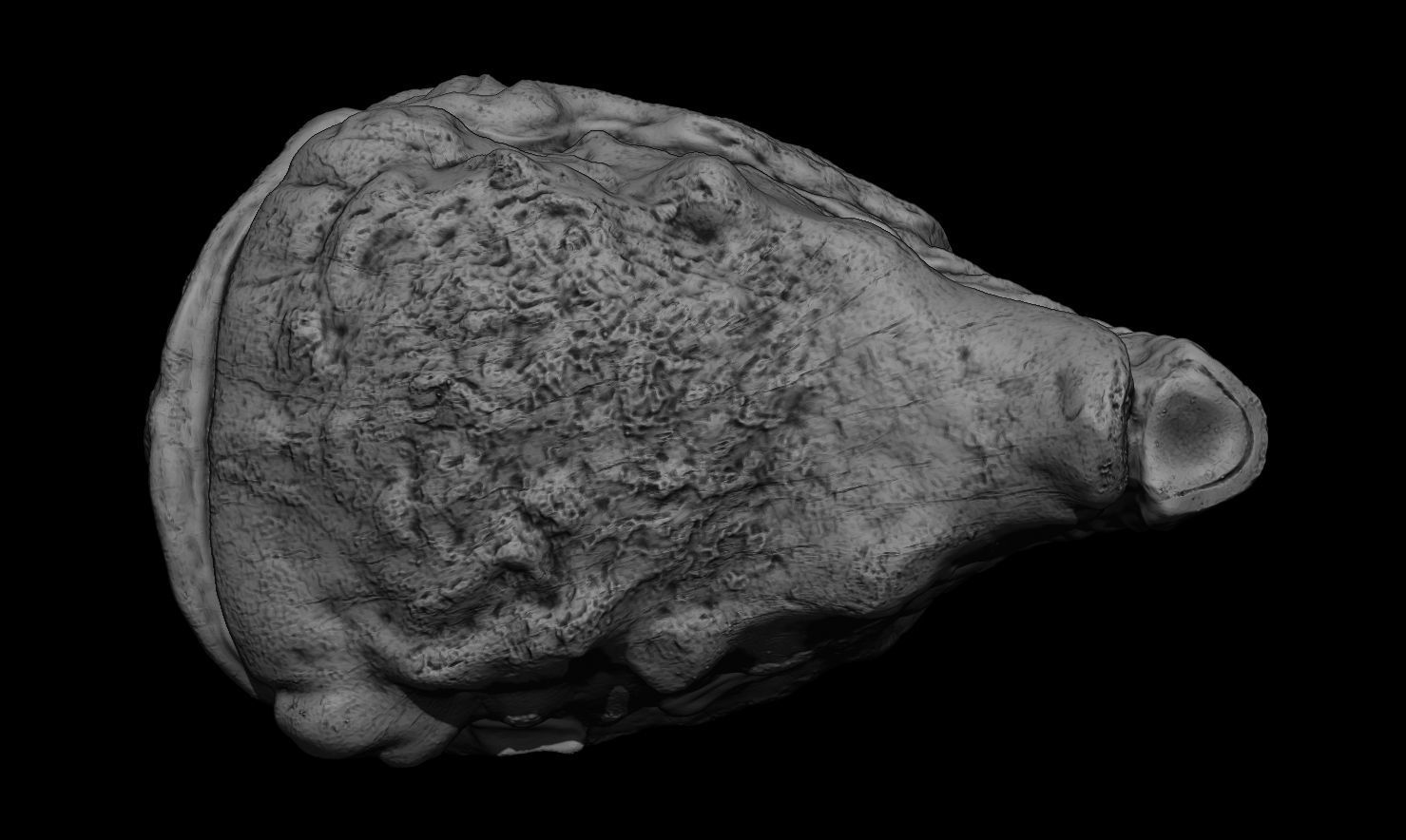 3D PRINTABLE PROMETHEUS ANCIENT ENGINEER HELMET NOT OPENABLE 3D model ...