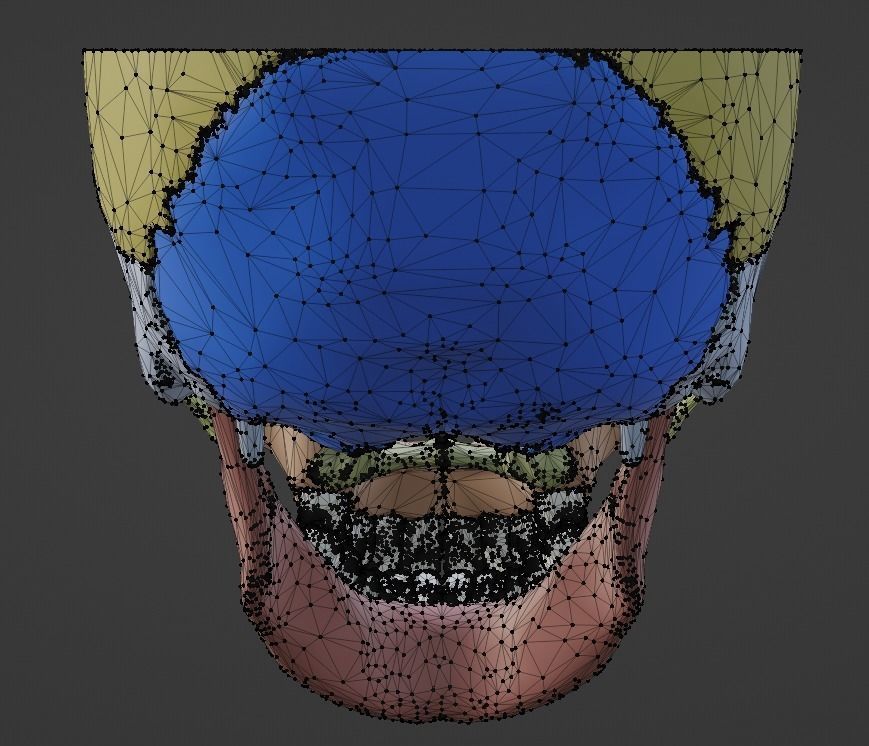 3D Model of Skull and Skull Bones 3D model | CGTrader