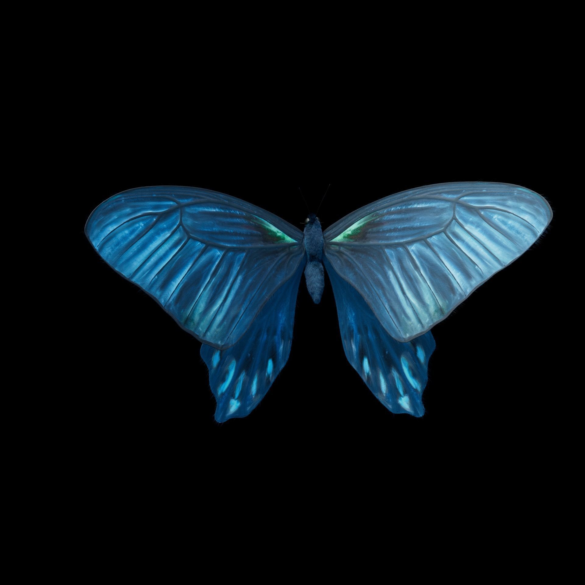 BlueButterflyAnimationC4D 3D model animated rigged | CGTrader