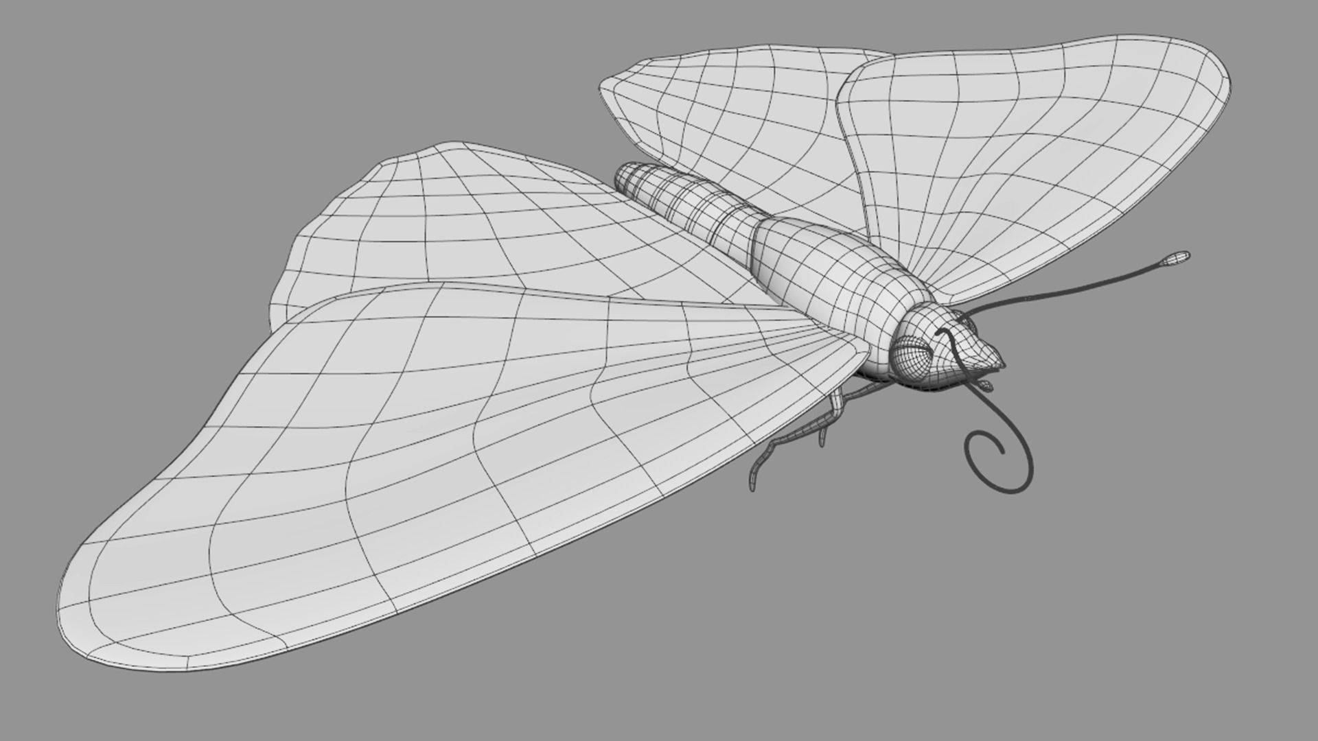 Painted Lady - Butterfly Rig - Animated 3D model animated rigged | CGTrader