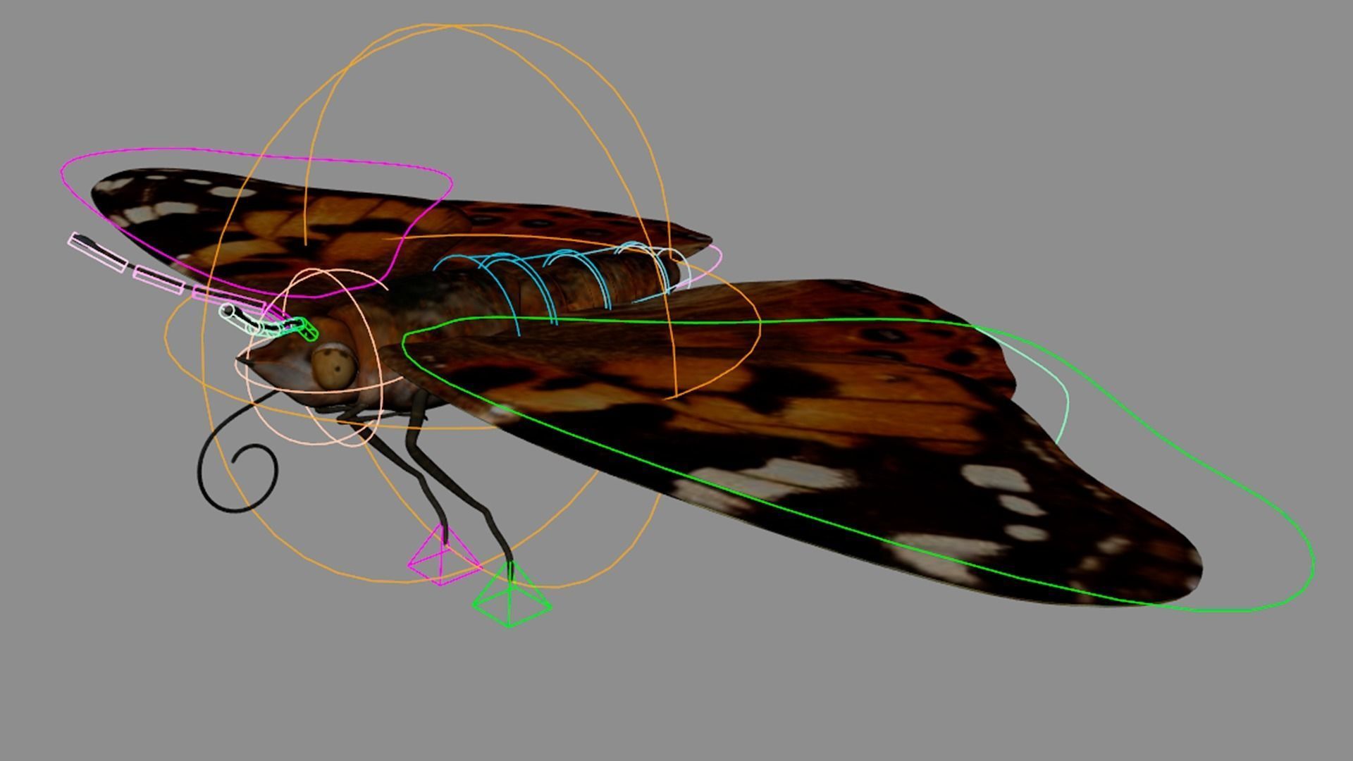 Painted Lady - Butterfly Rig - Animated 3D model animated rigged | CGTrader