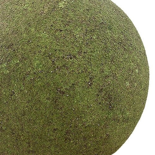 Grass Seamless Texture 2K - EXR 5 - JPG 5 Texture Texture | CGTrader