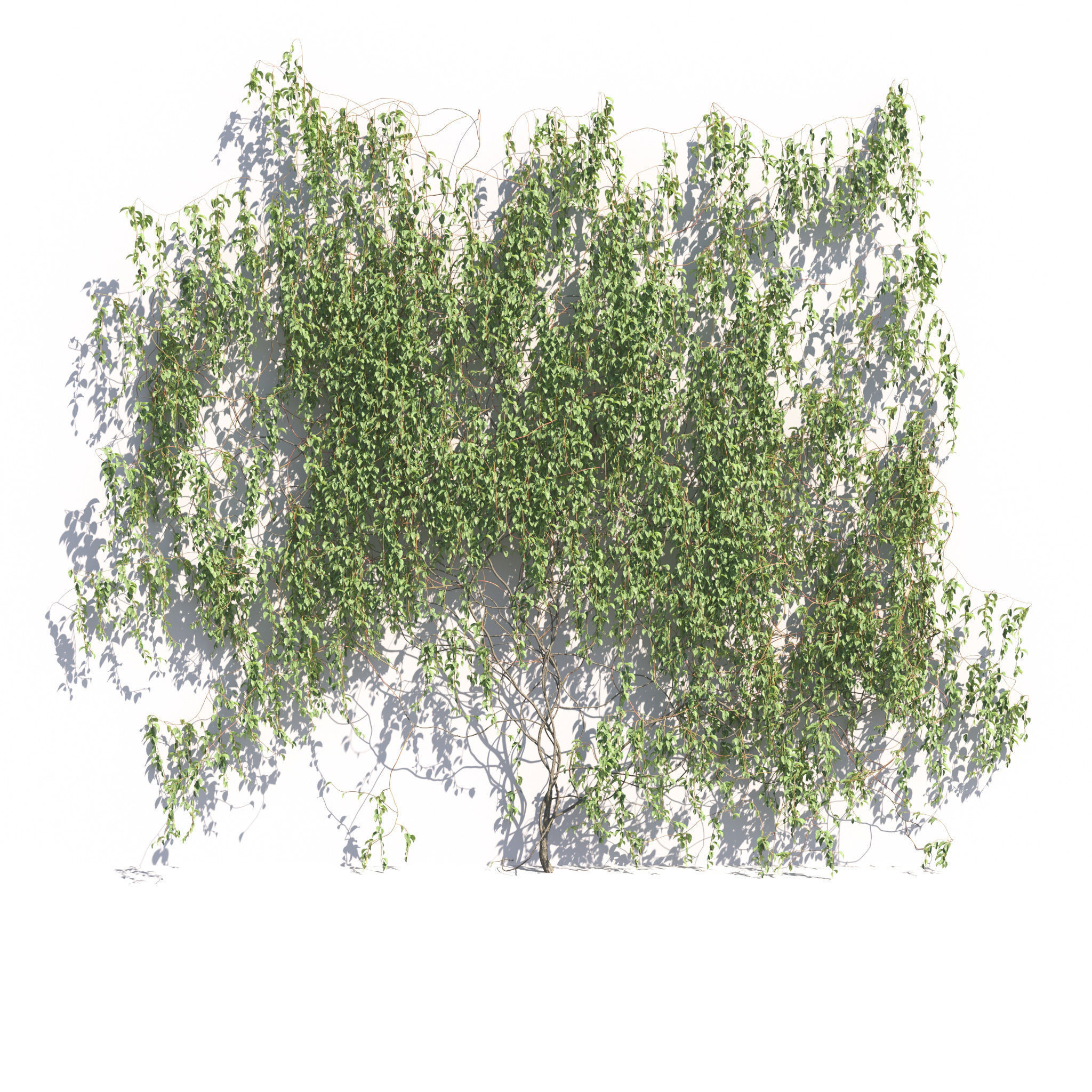 Archmodels vol 275 for 3dsmax - garden plants 3D model | CGTrader
