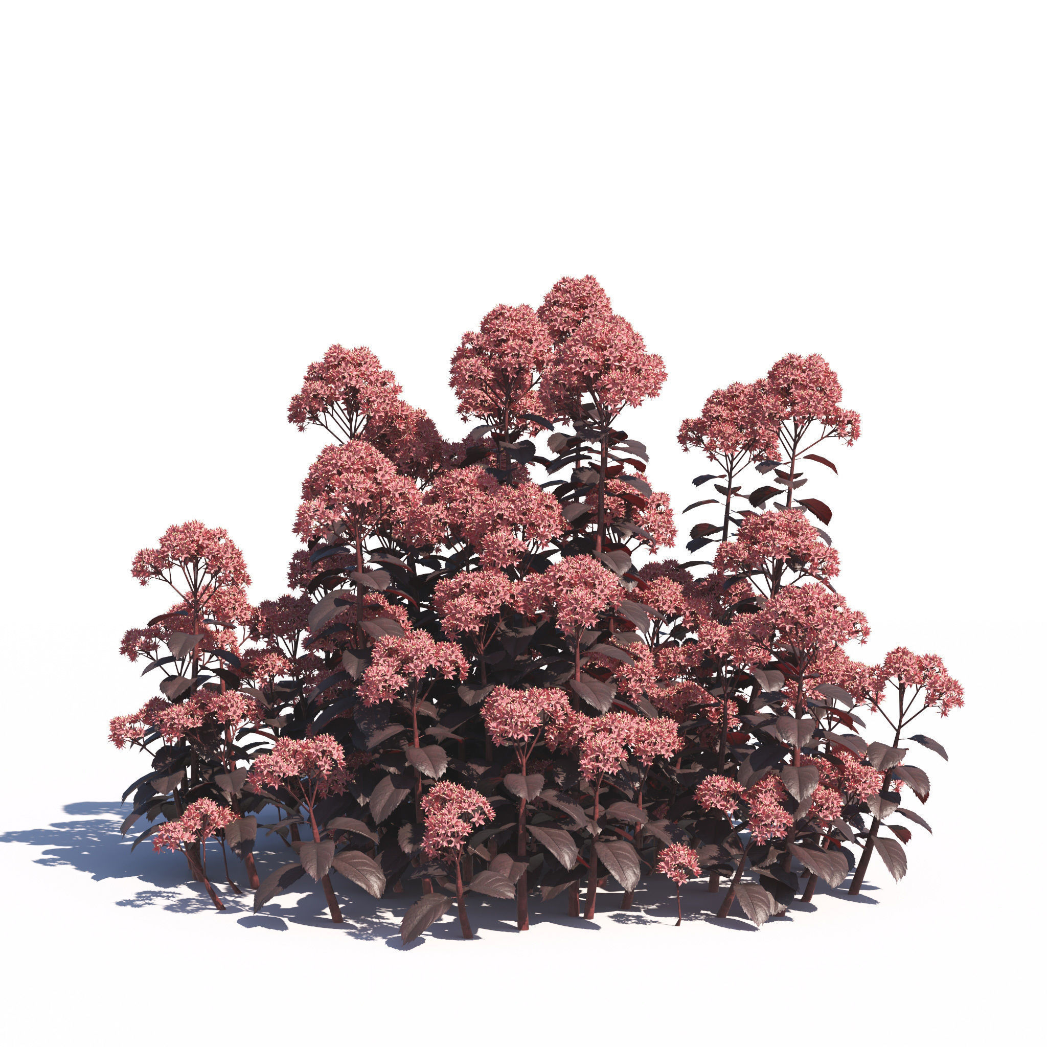 Archmodels vol 275 for 3dsmax - garden plants 3D model | CGTrader