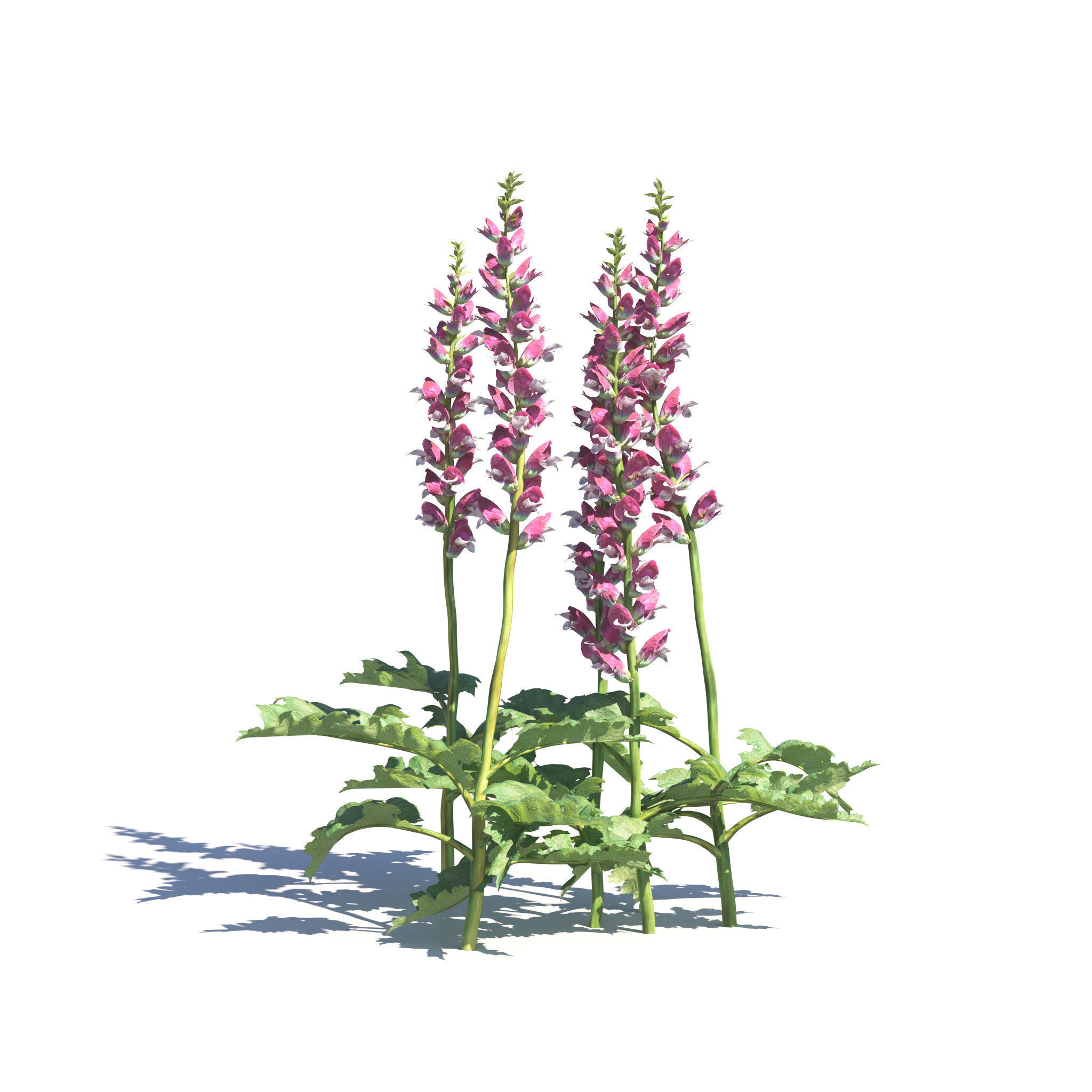 Archmodels vol 275 for 3dsmax - garden plants 3D model | CGTrader