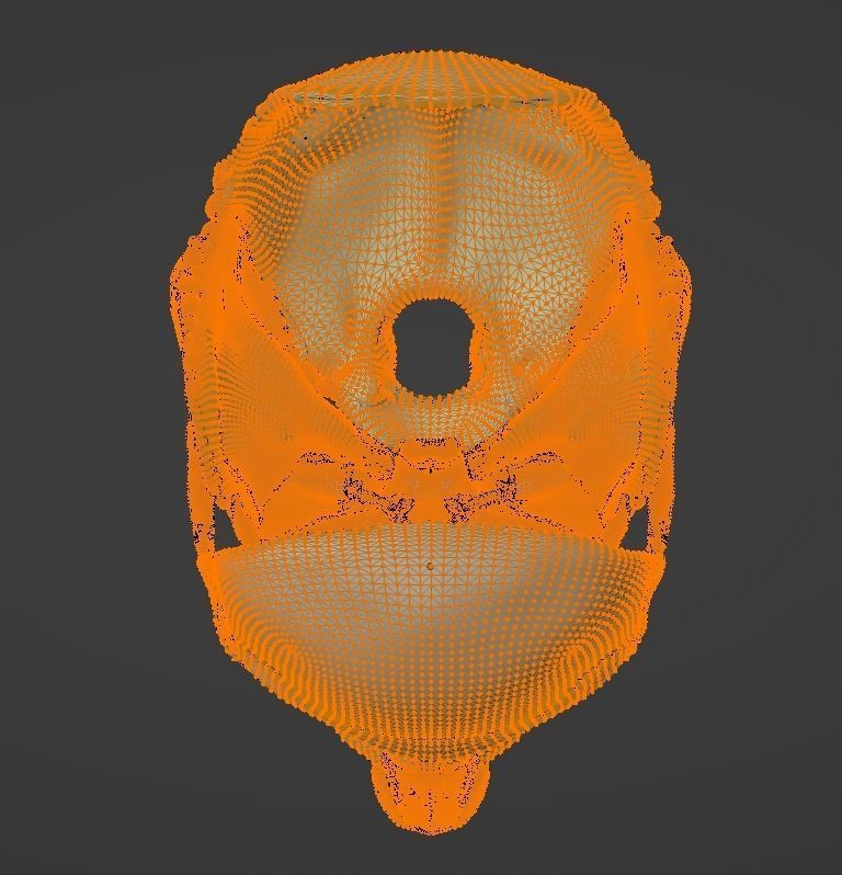 3D Model of skull with brain and brain stem - best version 3D model ...