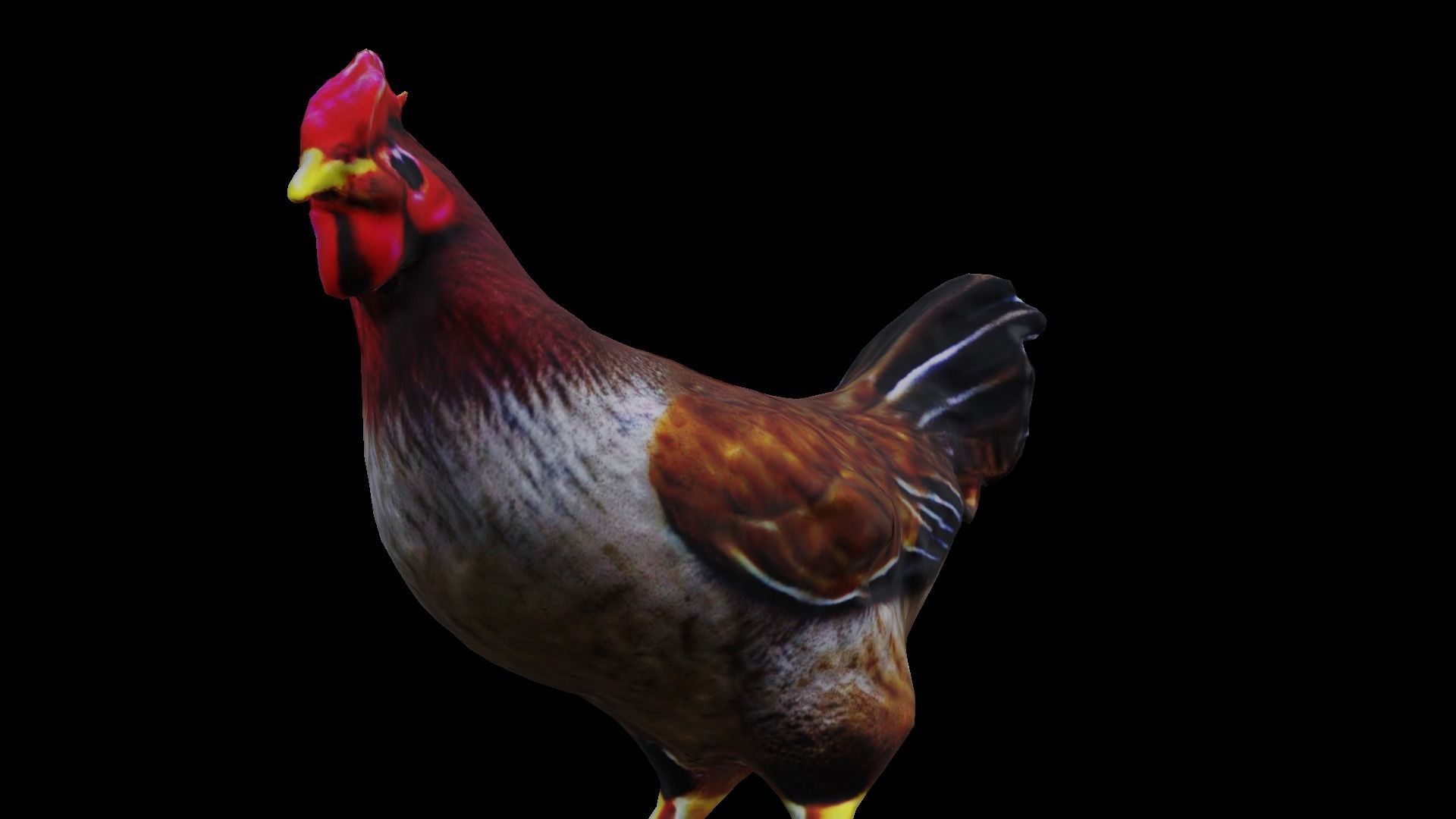 3D model low-poly Chicken PBR VR / AR / low-poly | CGTrader
